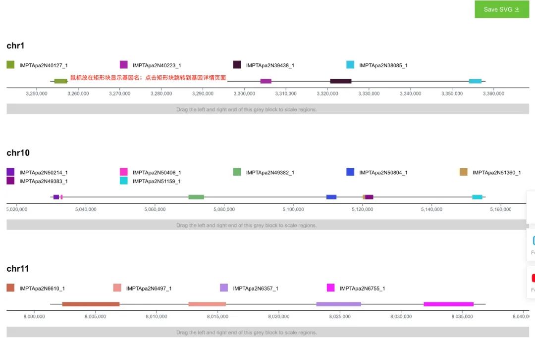 NAR | 最全植物基因组数据平台 IMP中文教程（ 核基因组更新到 559 个植物）-CSDN博客