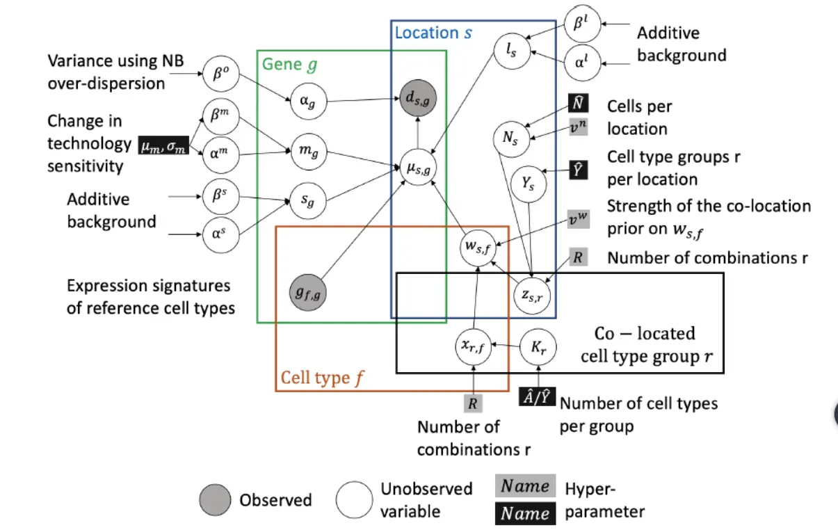 10X单细胞和空间联合分析的方法---cell2location-CSDN博客