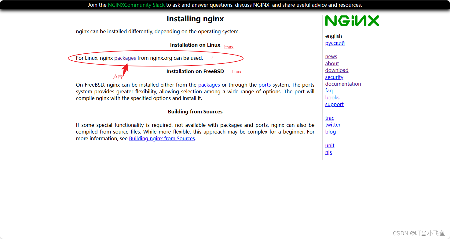 Cenos7 安装nginx_cenosnginx-CSDN博客