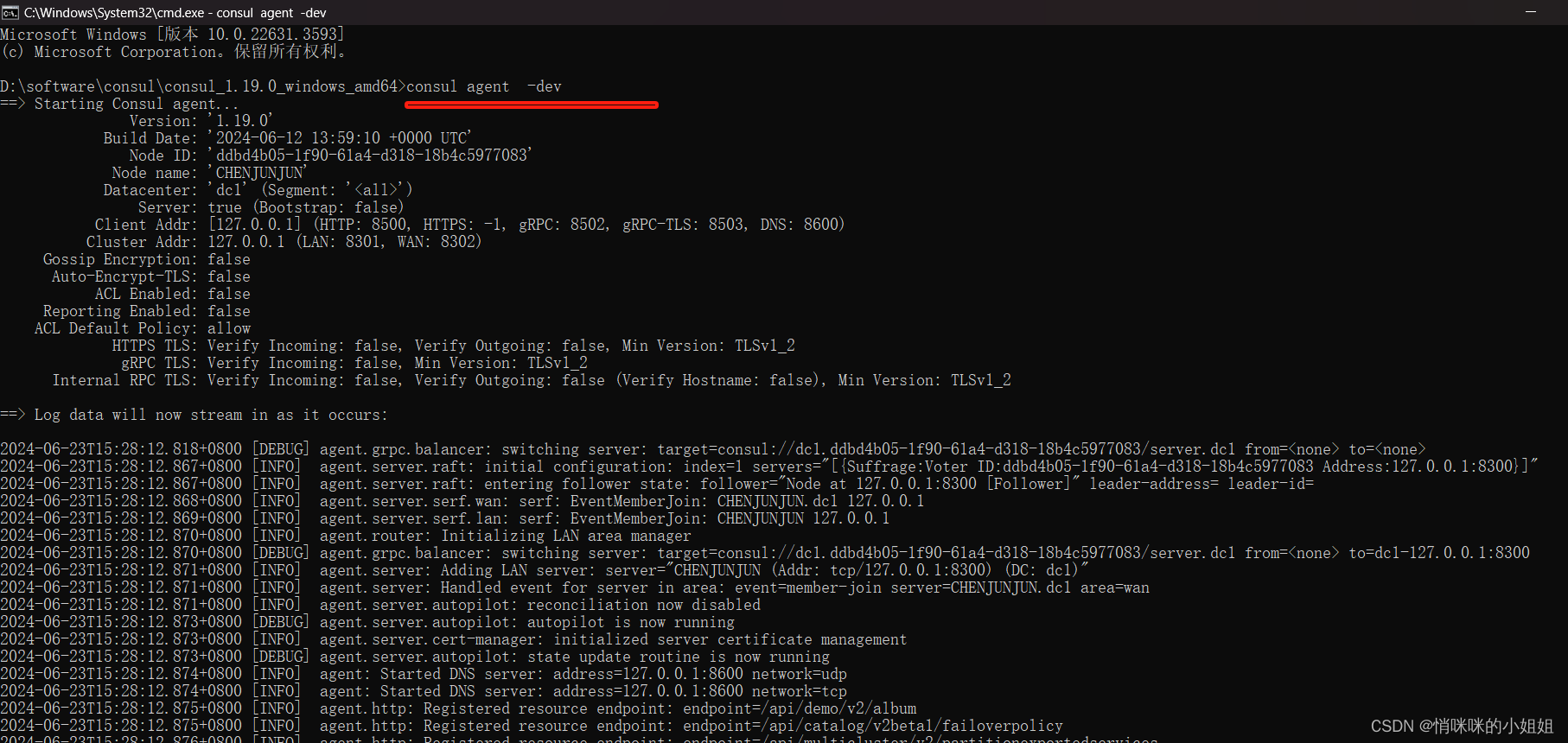 Consul Install_install consul-CSDN博客