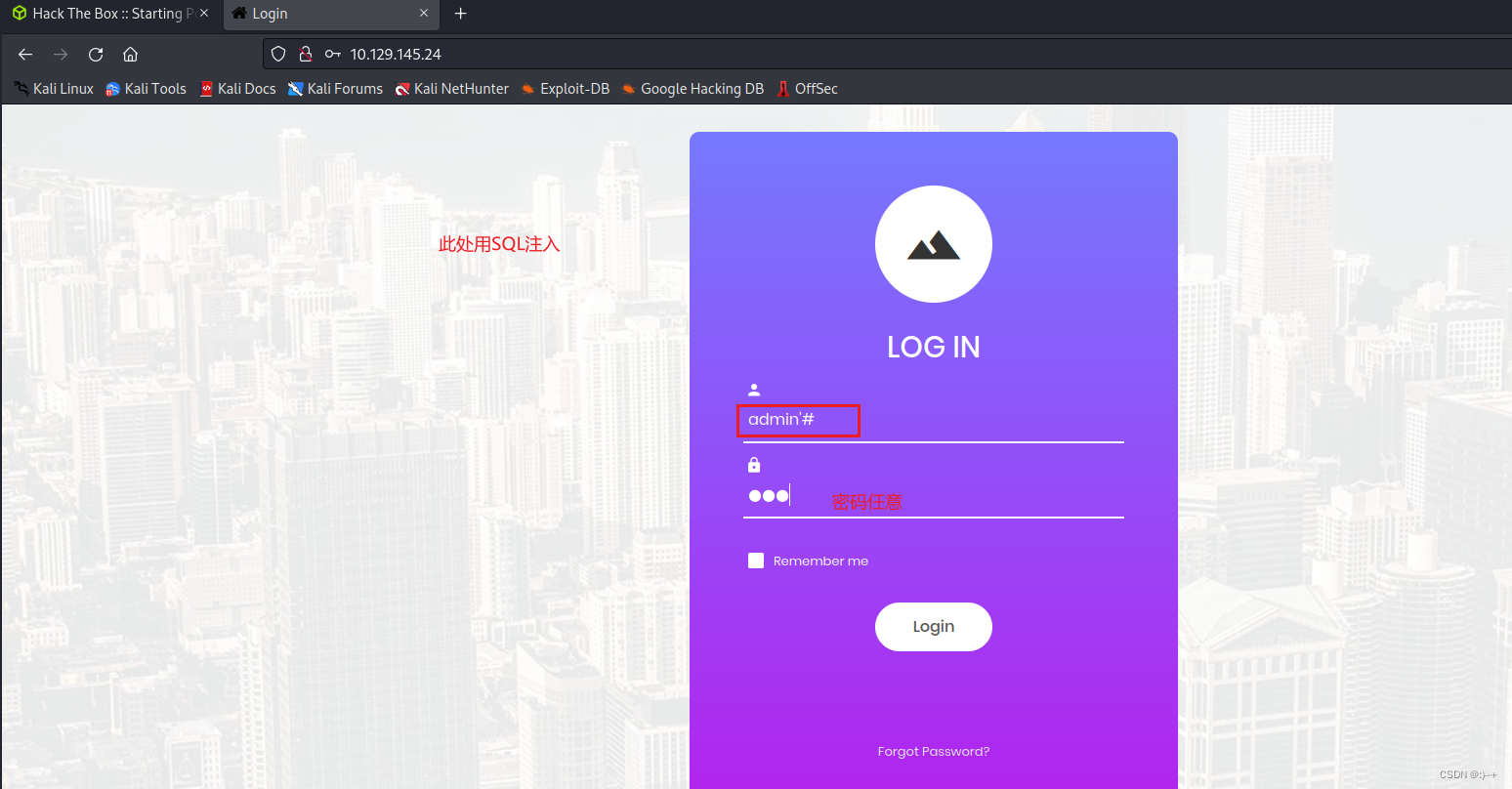hackthebox-01startpoint-TIER1-Appointment-CSDN博客