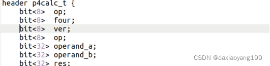 P4-tutorials 所有总结_p4tutorials讲解-CSDN博客