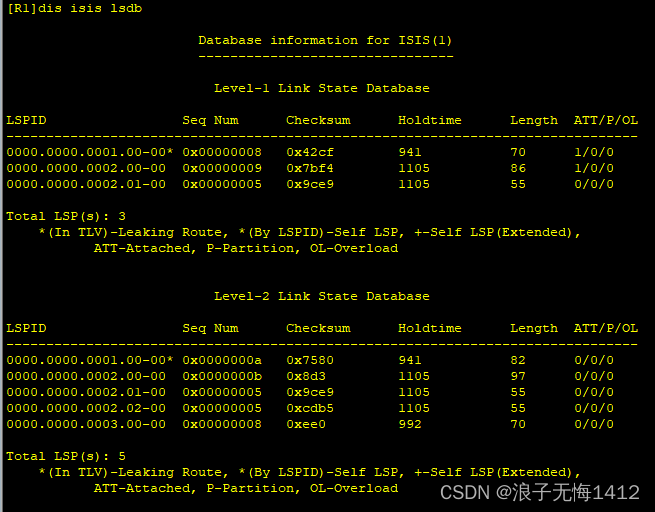 display查看命令_dis int link-info-CSDN博客