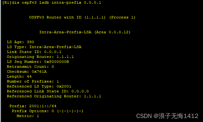 display查看命令_dis int link-info-CSDN博客