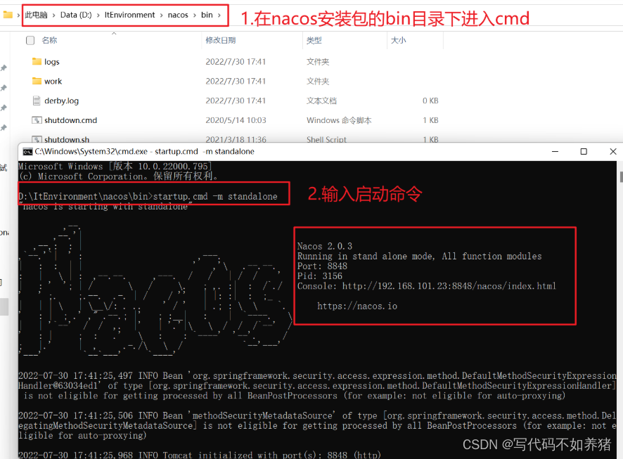 SpringCloudAlibaba-Nacos注册中心的使用_spring-cloud-alibaba 使用nacos 2.1版本-CSDN博客