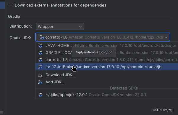 Android Studio Jellyfish版本修改project使用特定jdk版本的步骤-CSDN博客