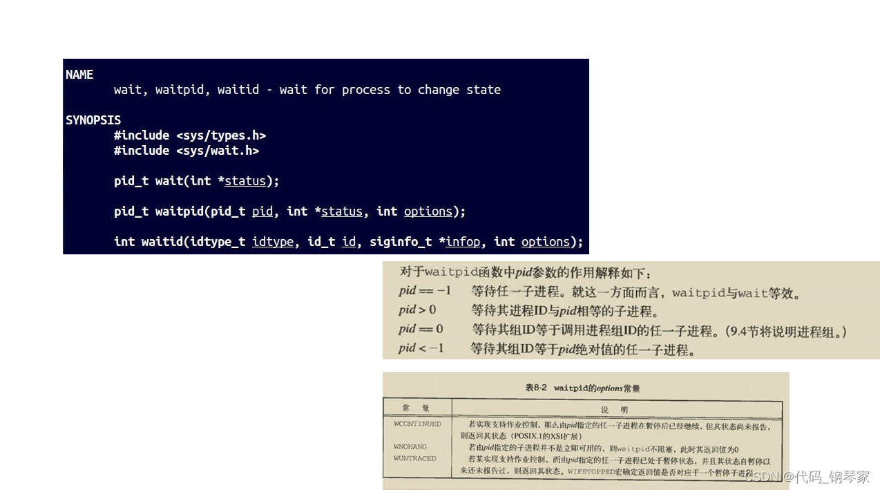 2.linux_进程编程_bad ps syntax-CSDN博客
