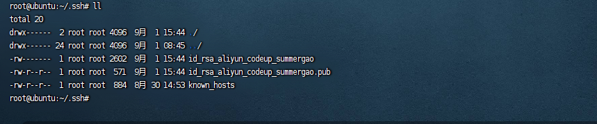 linux 配置SSH KEY（以Aliyun codeup为例）-CSDN博客