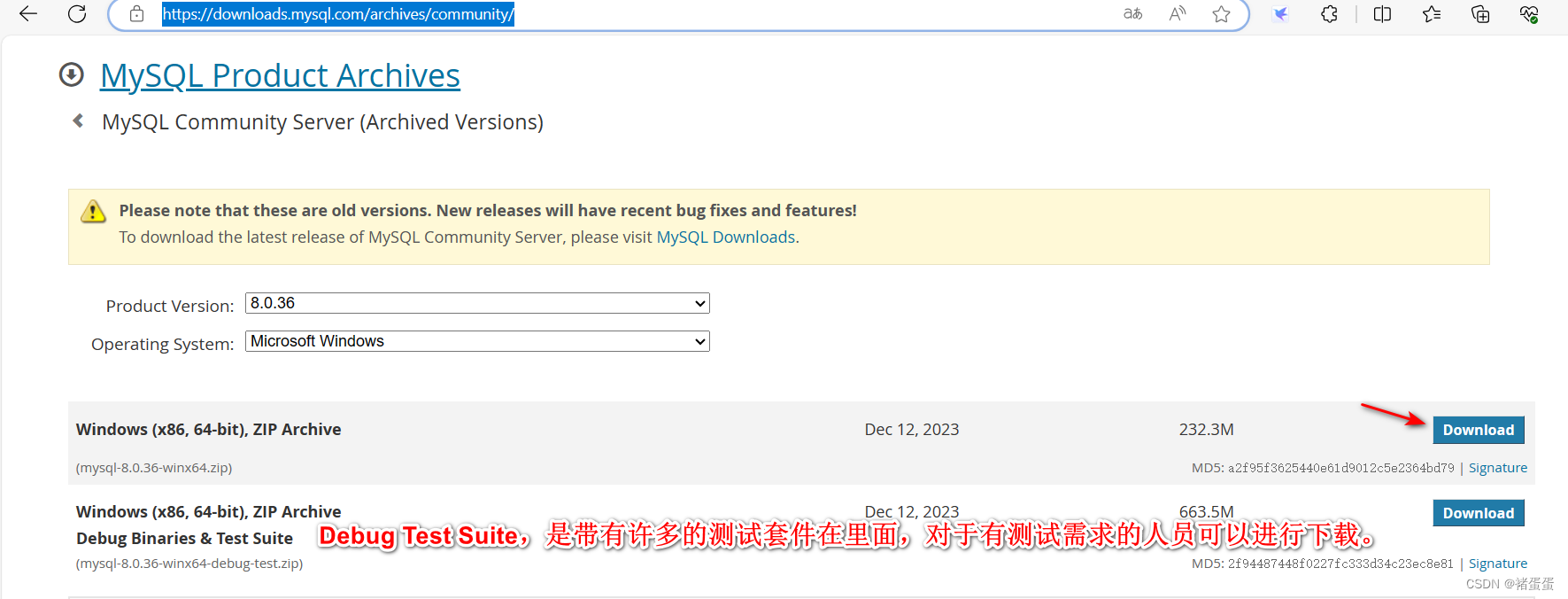 MySQL8.0 zip安装步骤_mysql8 zip安装教程-CSDN博客