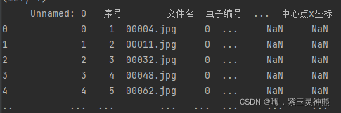 python数据处理之pandas.read_csv（）用法详解_python pandas decimal: optional[str] = ".",-CSDN博客