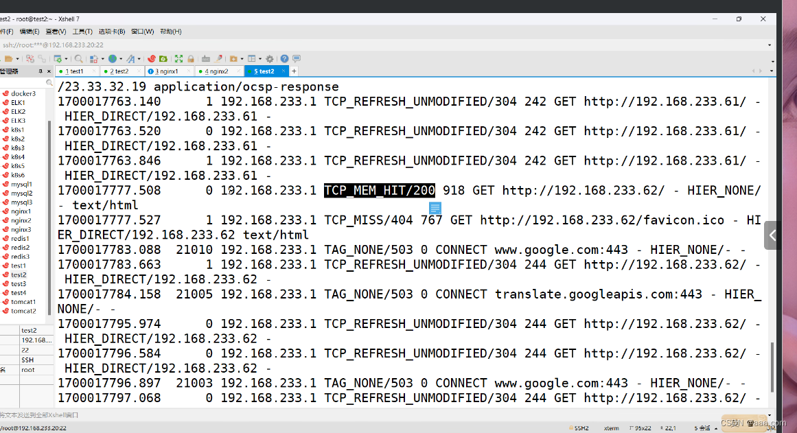web缓存-----squid代理服务_squid 缓存,不存在配置转发域名-CSDN博客