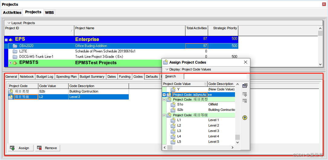 P6入门：项目初始化7-项目详情之代码/分类码Code_p6作业分类码-CSDN博客