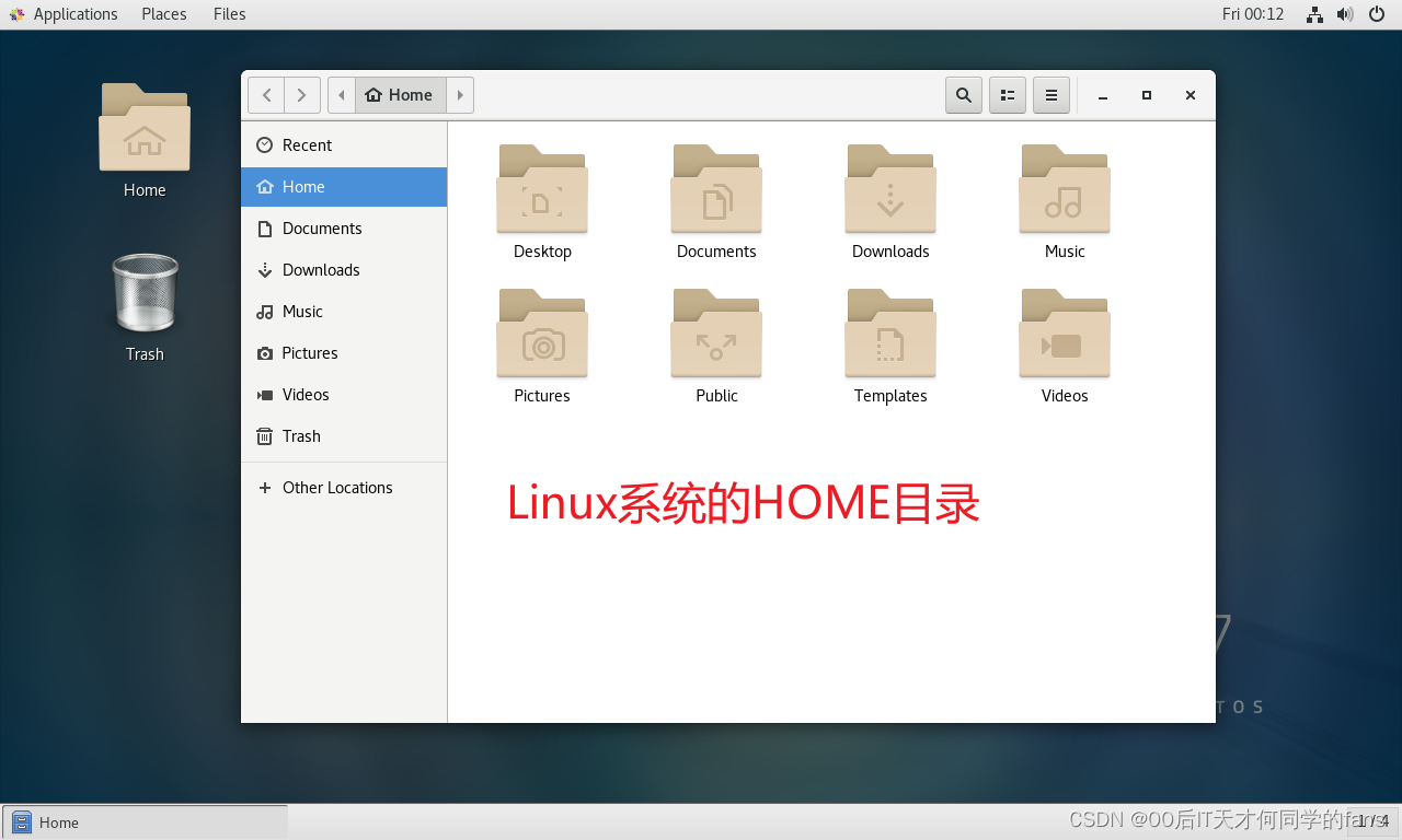 Linux学习笔记 --- Linux基础命令Part1_linux的home-CSDN博客