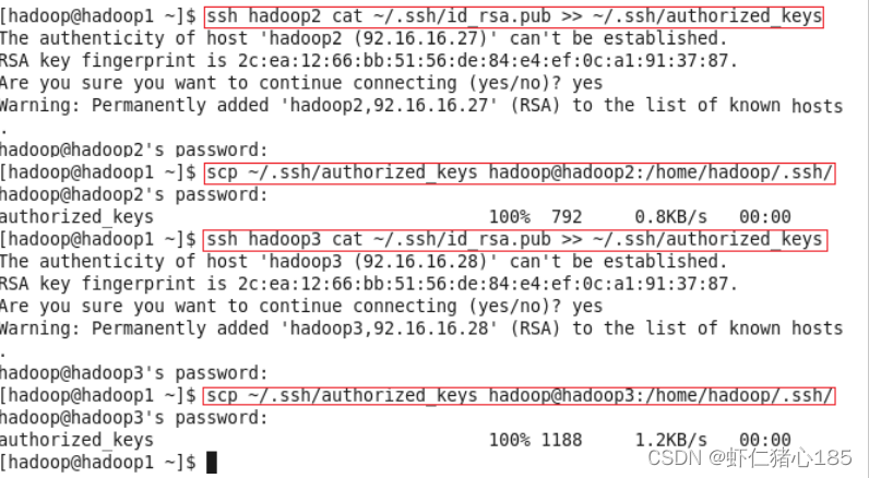Hadoop集群配置SSH_hadoop修改ssh配置怎么保存-CSDN博客