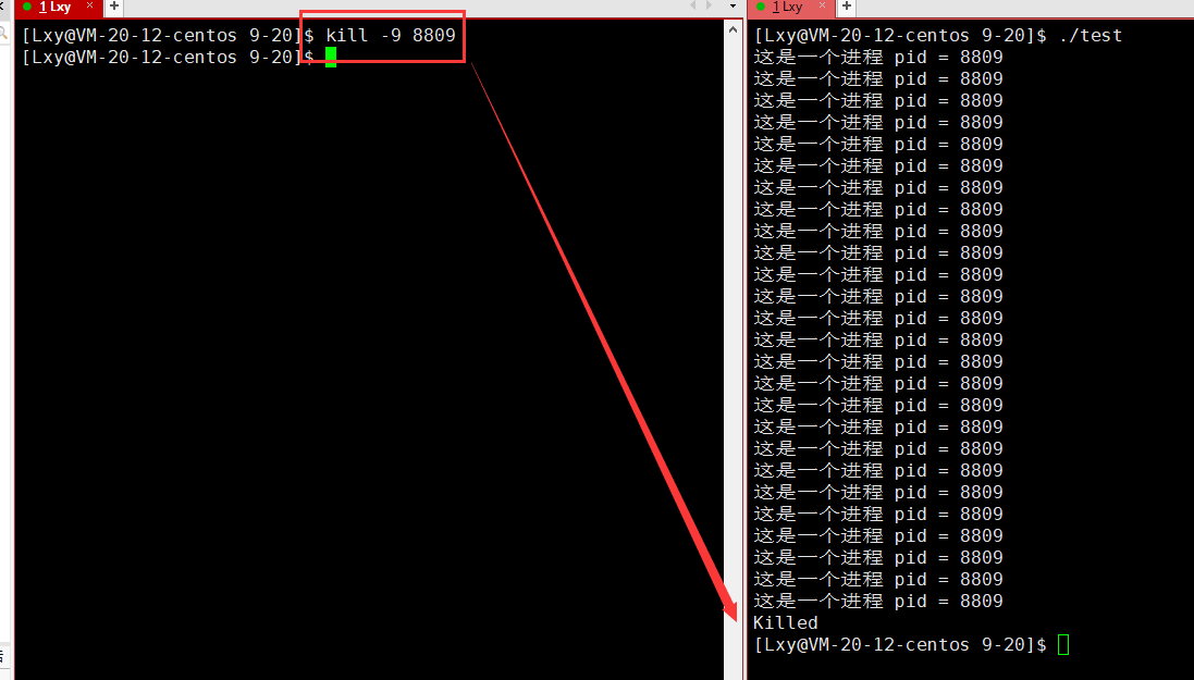 [ Linux ] 进程概念，pcb，查看进程，pid，ppid，fork_打印各自进程pid和ppid-CSDN博客