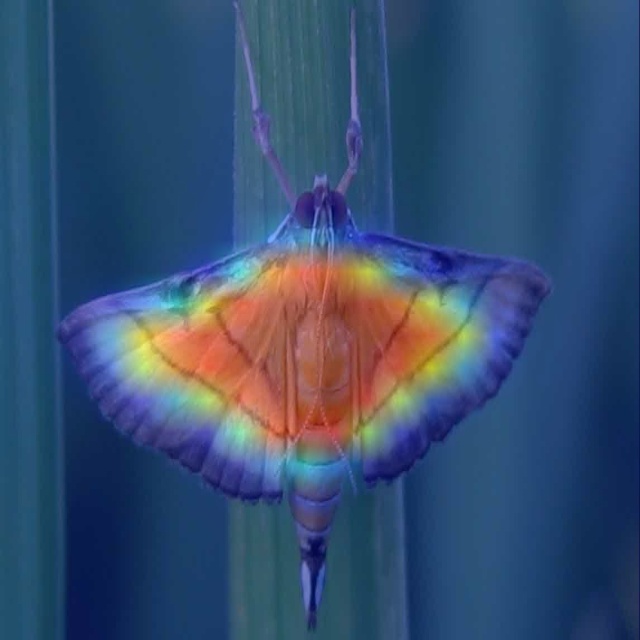 计算机视觉特征图可视化与注意力图可视化（持续更新）-CSDN博客