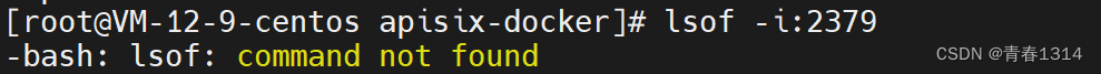 Bash Lsof Command Not Found Csdn博客