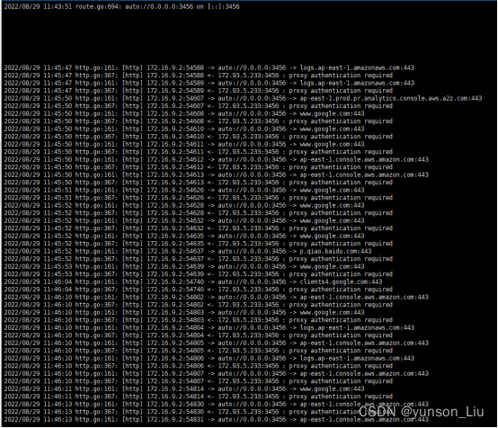 ubuntu20.04部署gost服务_ubuntu gost-CSDN博客
