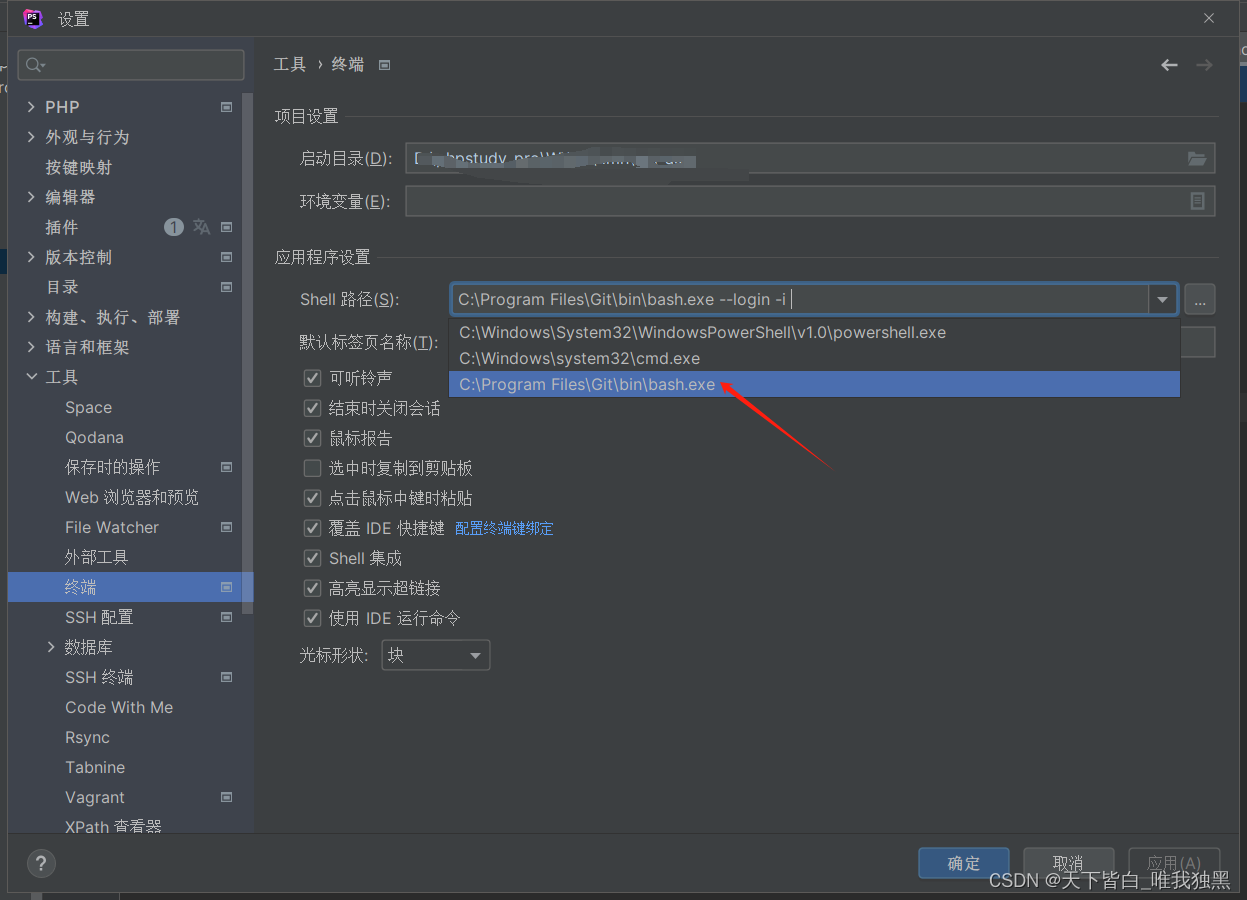 phpStorm 设置终端为git bash_phpstorm终端-CSDN博客