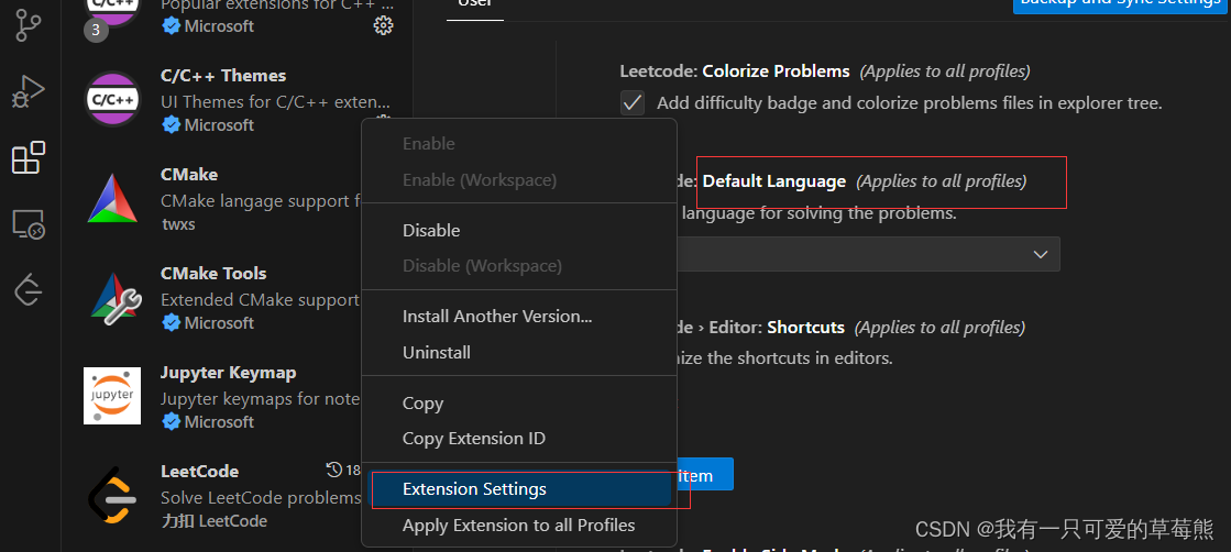 VsCode的leetcode插件无法登录_vscode leetcode无法登录-CSDN博客