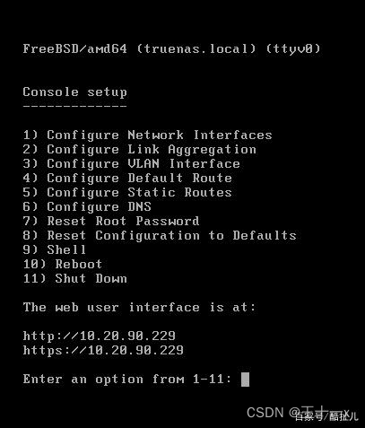 ESXI 安装 FreeNas12.0_esxi安装freenas-CSDN博客