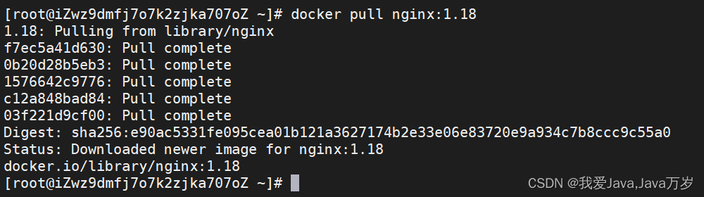Docker快速搭建Nginx服务器_docker nginx 文件服务器-CSDN博客