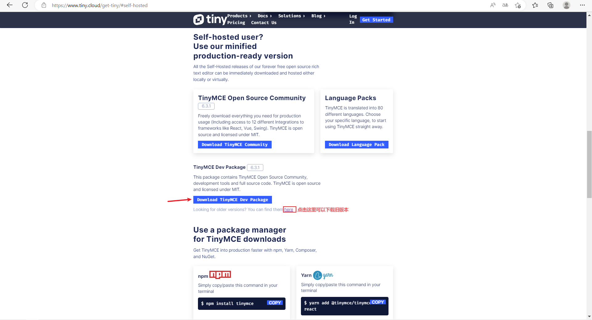 在 Nuxt 中使用 tinymce 富文本编辑器_nuxt tinymce-CSDN博客