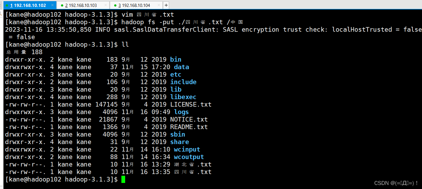 Hadoop 之 HDFS 的Shell操作（开发重点）06_–ls: unknown command usage: hadoop fs ...