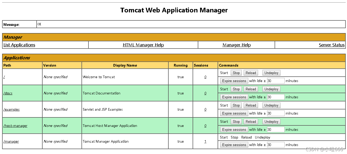 配置tomcat的web项目管理界面_tomct web界面-CSDN博客