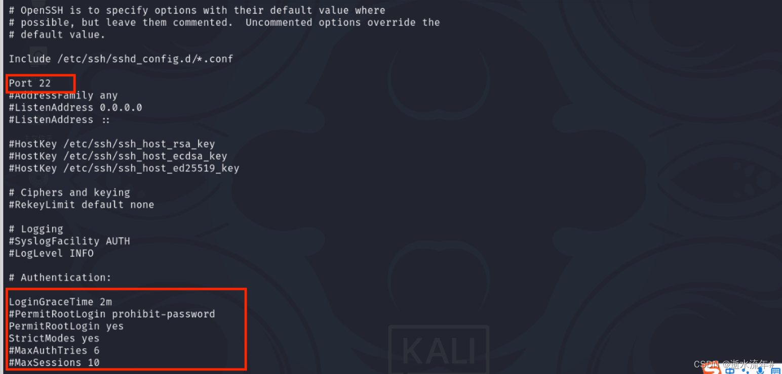 kali-liunx SSH服务（开启与开机自启动）_kali ssh开机启动-CSDN博客
