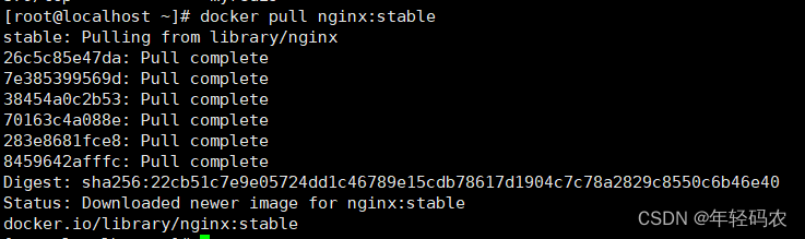 docker安装nginx_docker pull nginx稳定版-CSDN博客