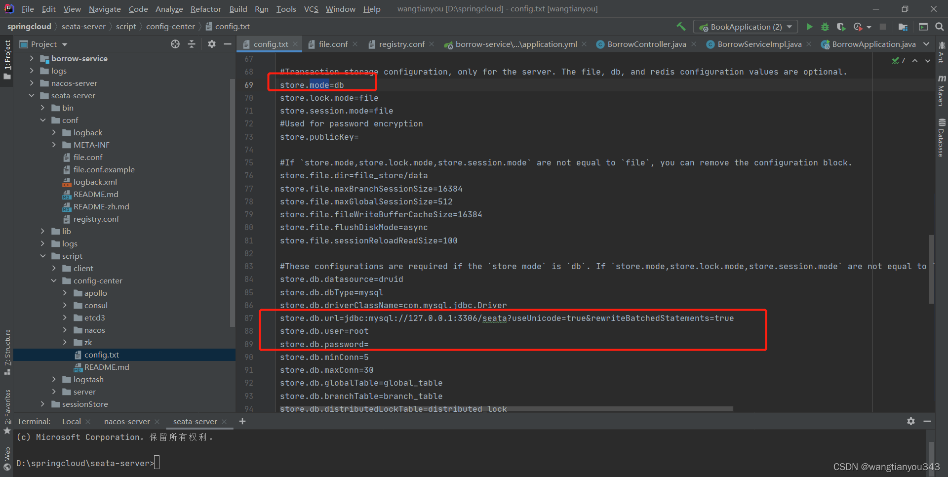 windows环境部署seata注意事项_seatsurfing部署-CSDN博客