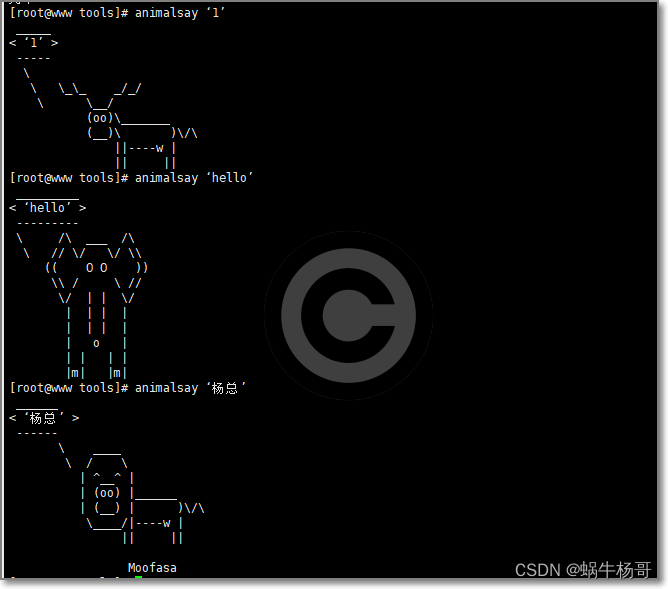 运维Shell脚本小试牛刀(五):until循环|循环控制break|continue_until运行shell脚本-CSDN博客