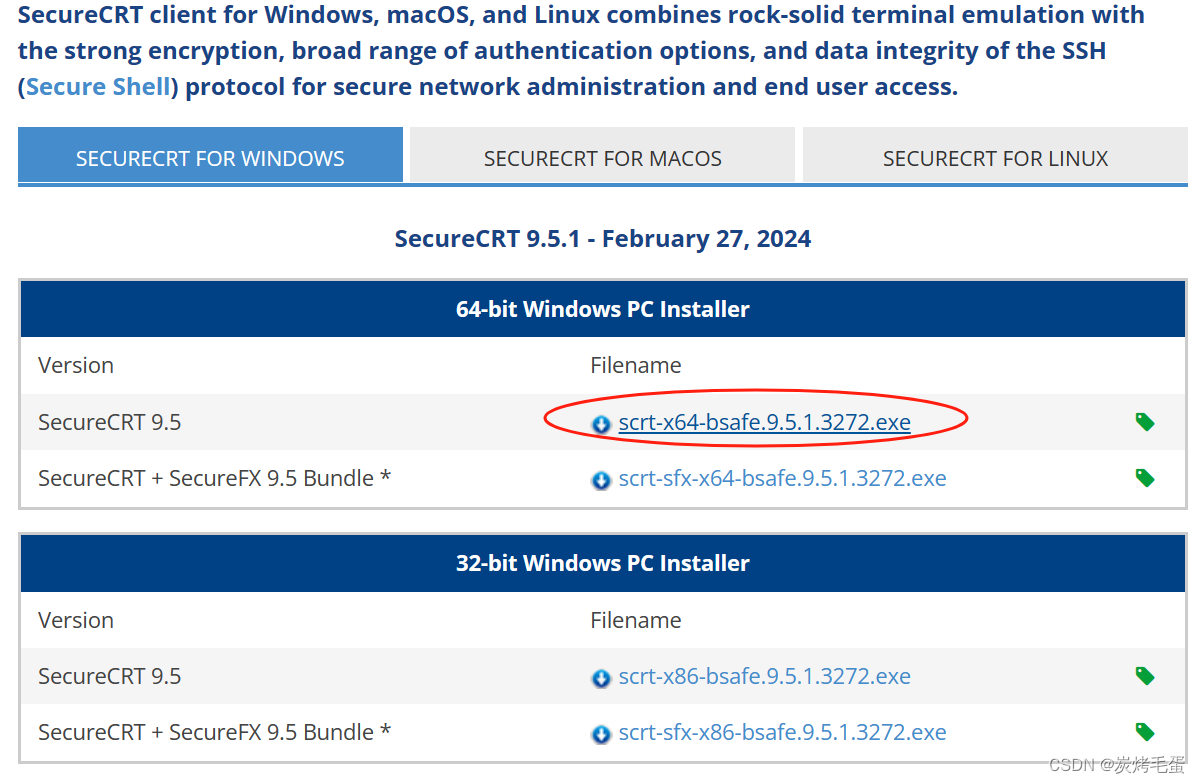 Windows CRT安装、配置-CSDN博客