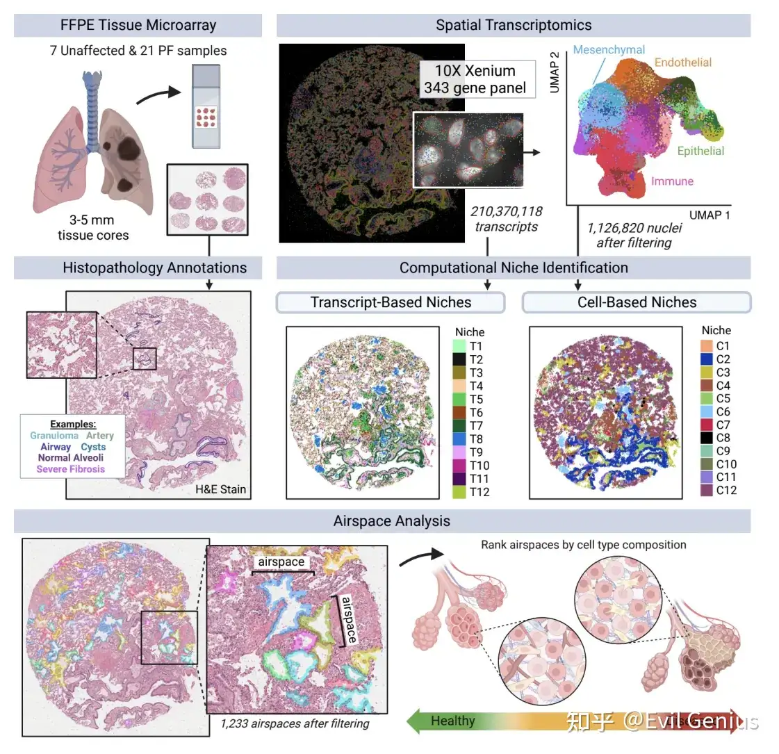 空间转录组cell niche（流程试用版）_seurat niche-CSDN博客