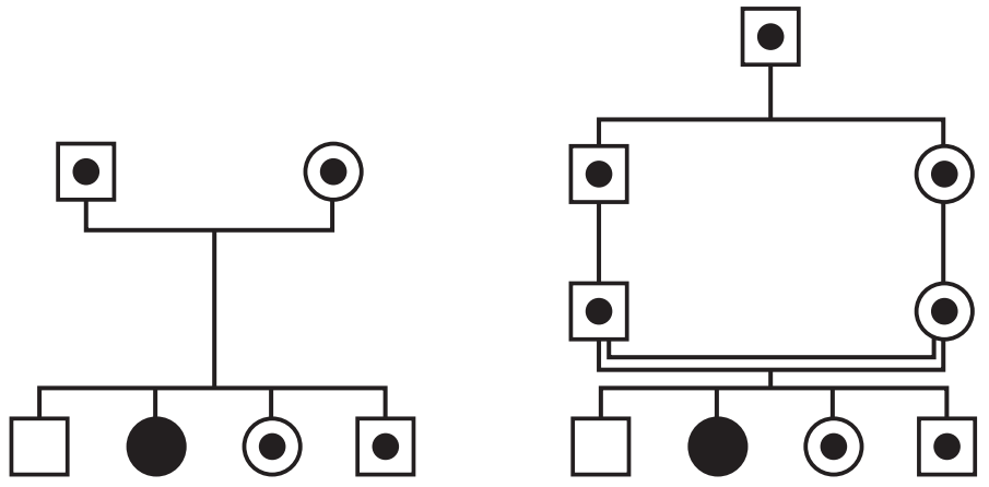遗传学与基因组学原理 | 遗传方式及多因素遗传-CSDN博客