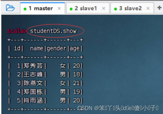 4.1 Spark SQL概述、数据帧与数据集_java datasets spark.sql-CSDN博客