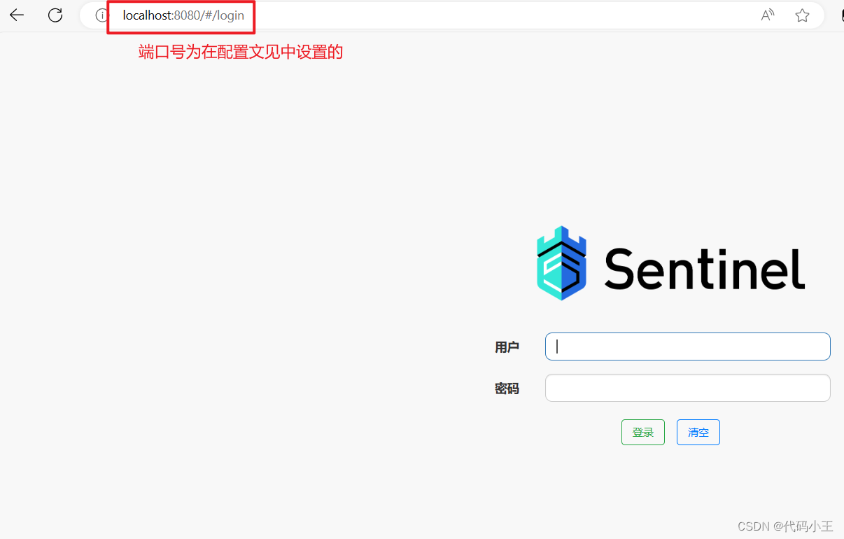 Sentinel_sentinel csdn-CSDN博客