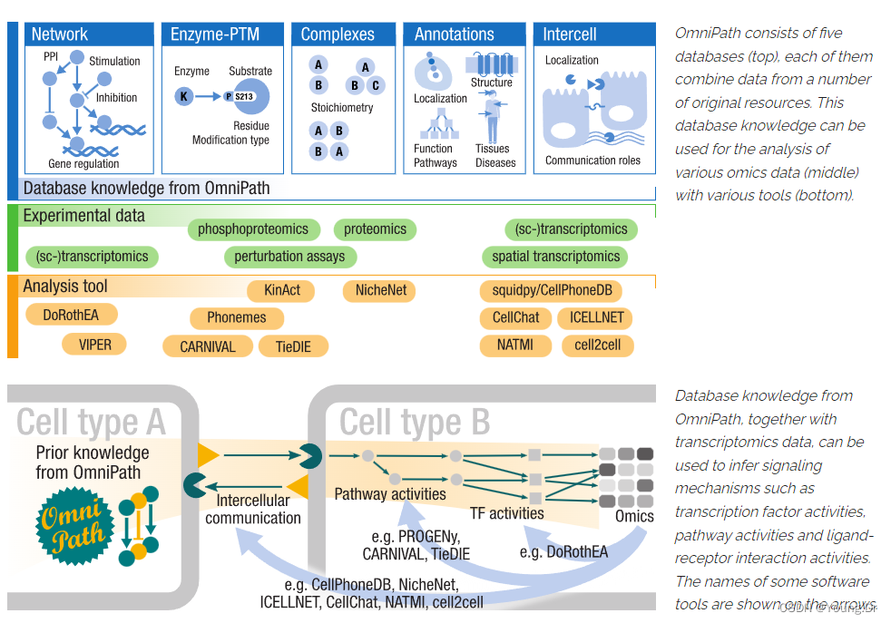 omnipathr官网教程 mistr-CSDN博客