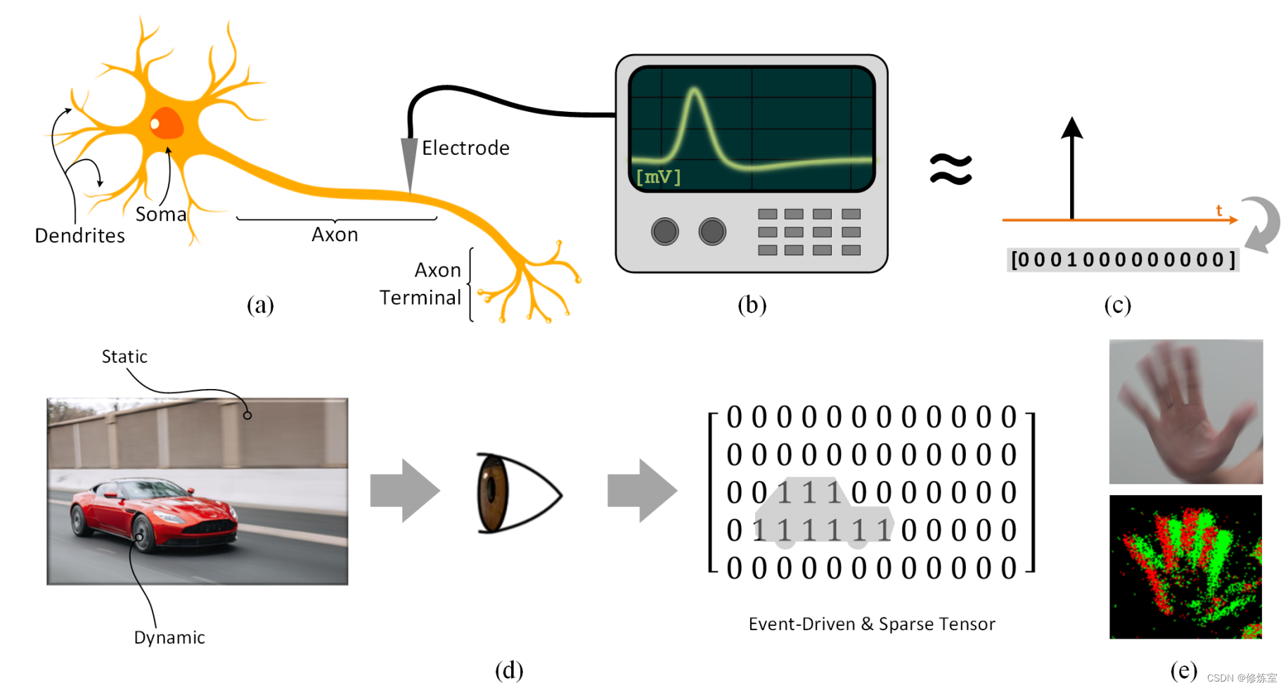 脉冲神经网络入门指南（二）From Artificial to Spiking Neural Networks-什么是LIF神经元【文献精读】_training spiking neural ...