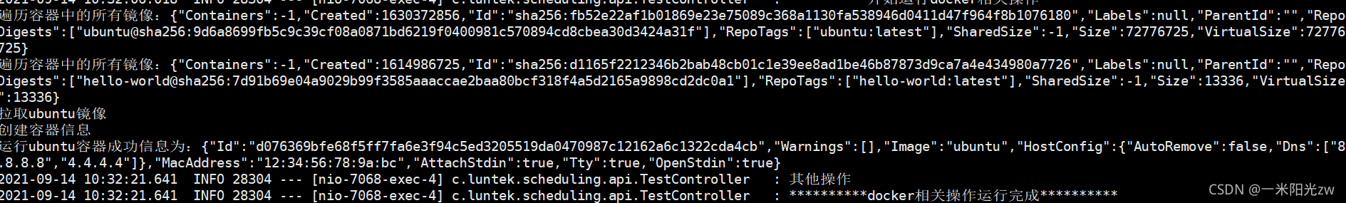 Java实现使用docker Api实现镜像拉取,容器管理(docker Java Api) Csdn博客