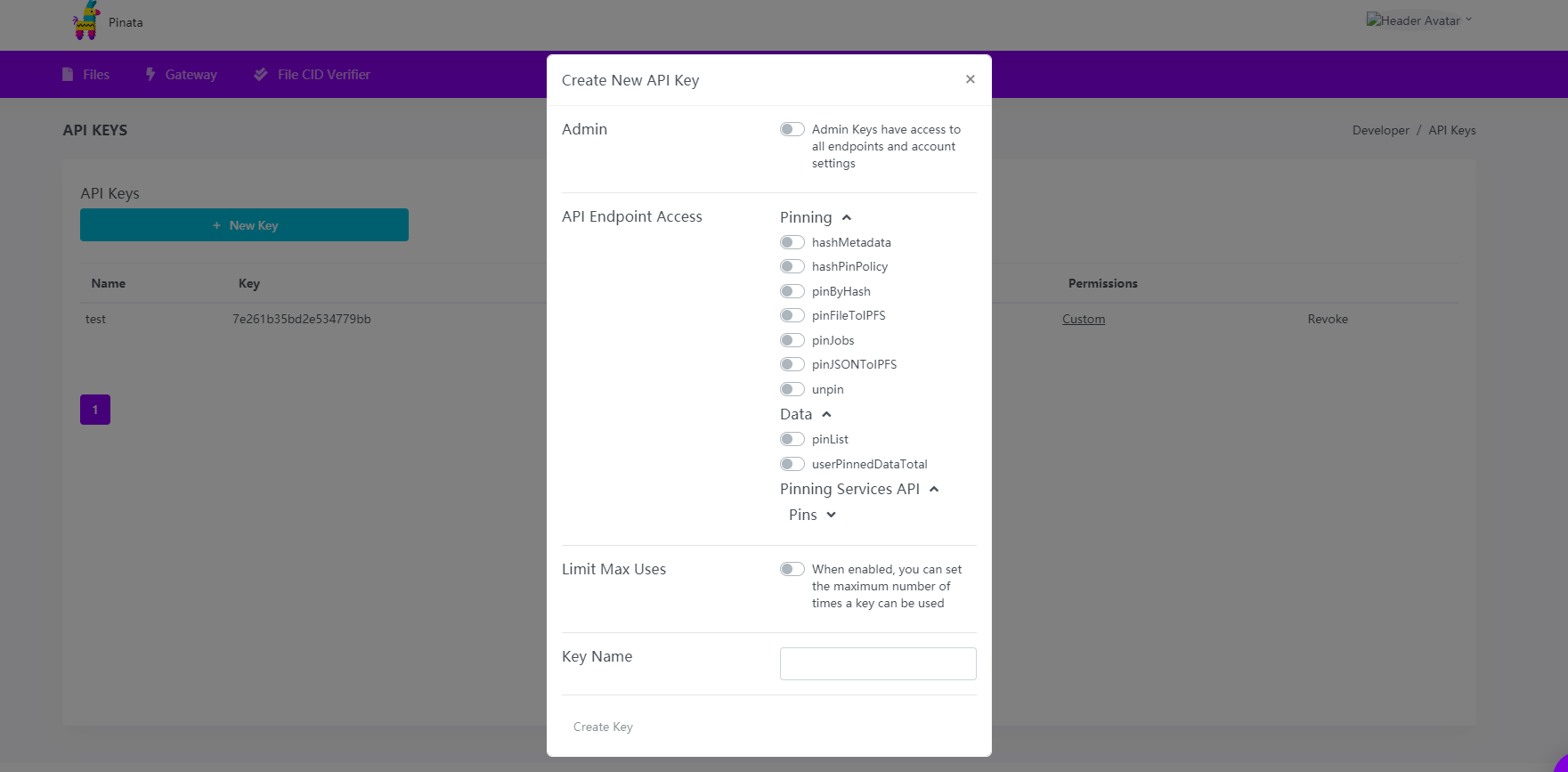 Pinata云存储服务教程-CSDN博客