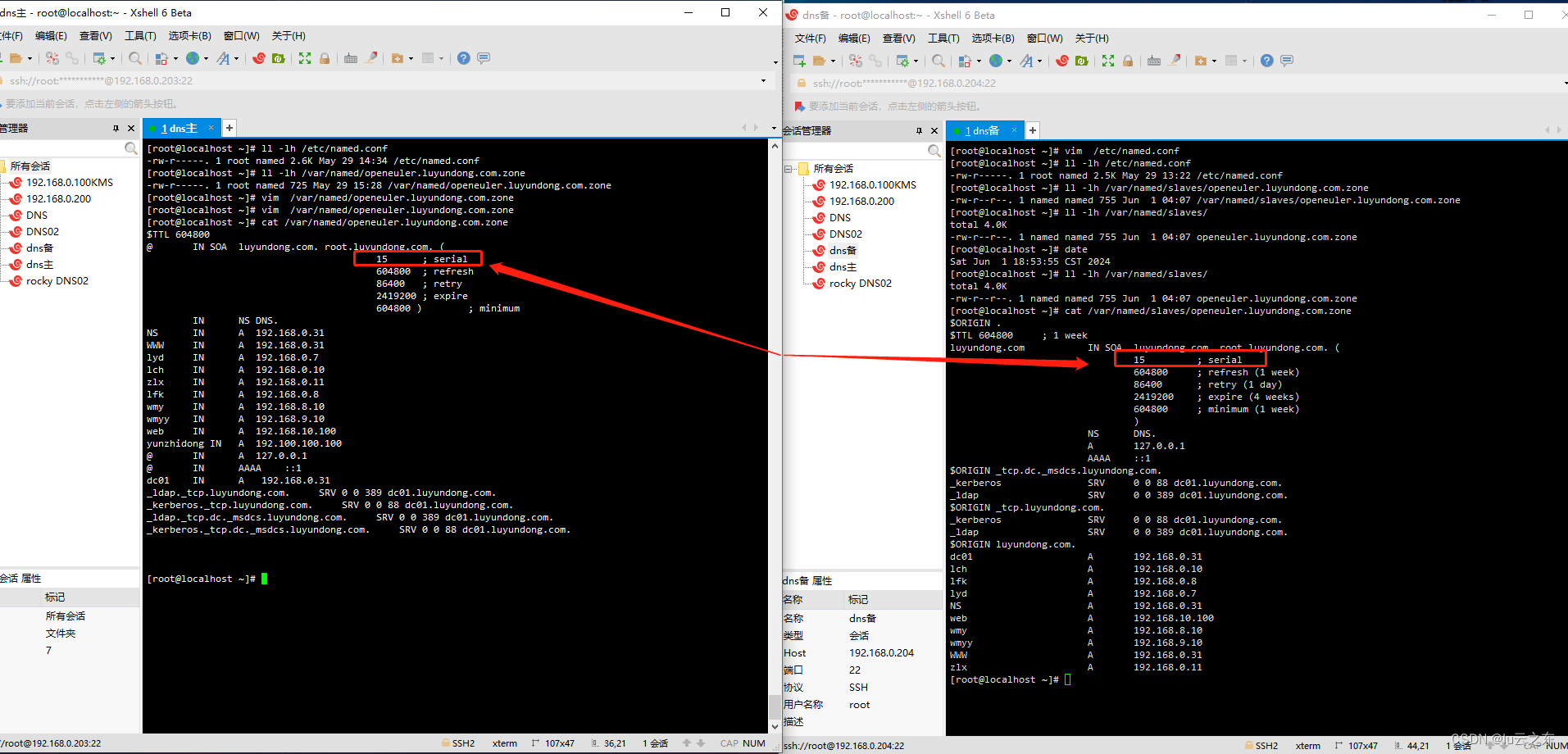 Rocky linux 搭建DNS主从服务器+keepalived实现高可用_keepalived dns-CSDN博客