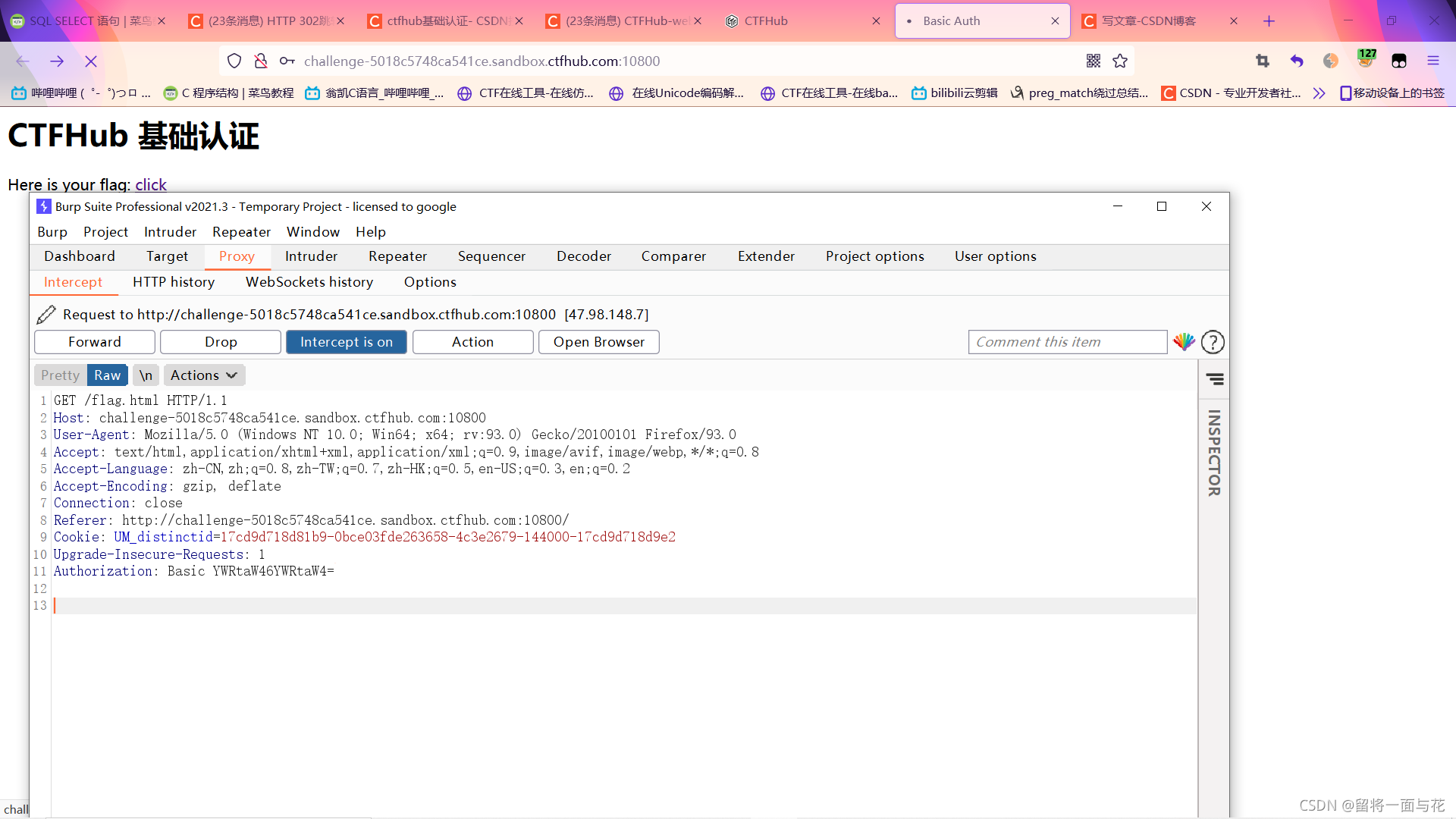 2021-11-08_ctfhub打不开-CSDN博客