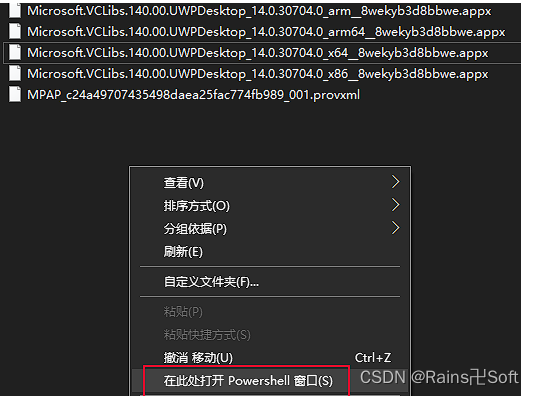 Windows10 2021LTSC安装文件.msixbundle 与 .Appx-CSDN博客
