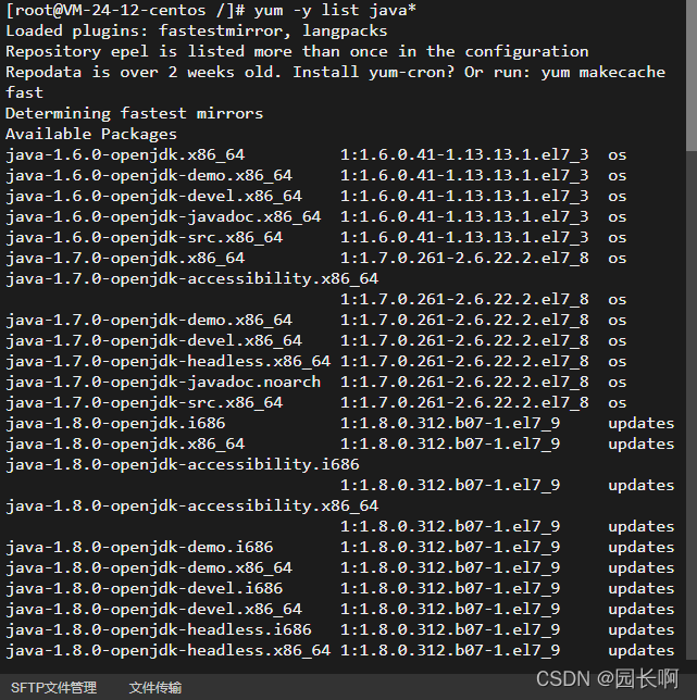 Linux服务器安装jdk1.8_java-1.8.0-openjdk-devel-CSDN博客