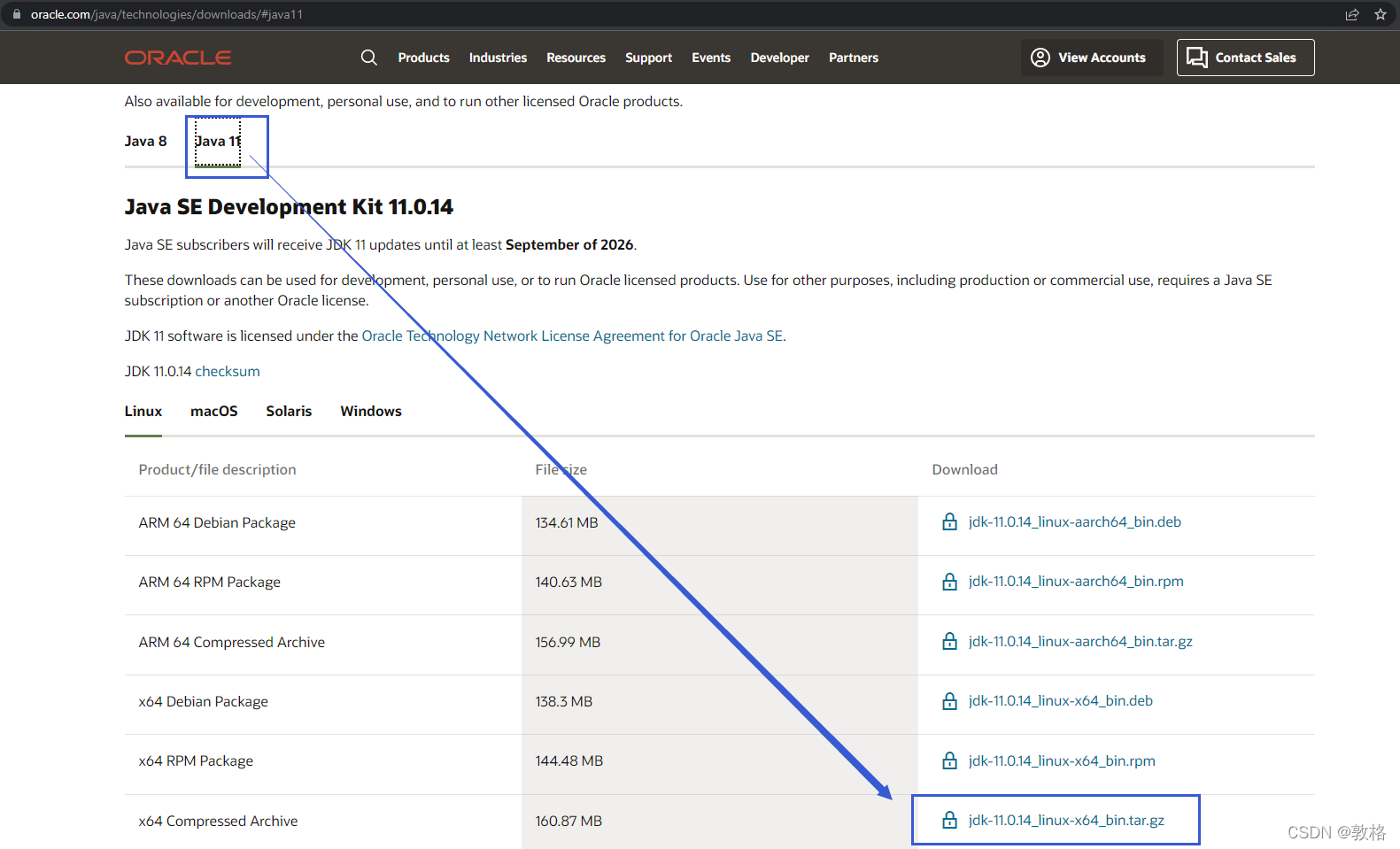 CICD-01-安装 Java(JDK 11)_oracle jdk 11.0.14-CSDN博客