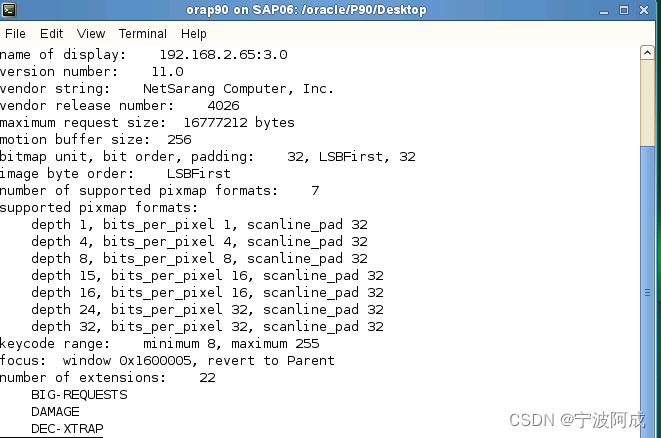 SuSE linux server 11通过SAP来安装oracle11g_suse安装oracle-CSDN博客