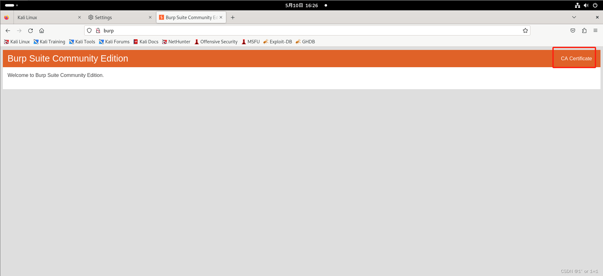 kali-linux 自带burp suite配置使用_burpsuite kali-CSDN博客